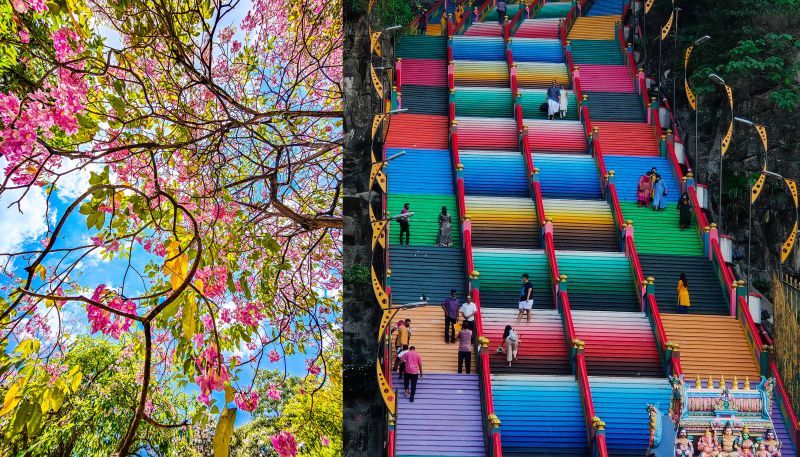 Tip ambil gambar alam semulajadi, landskap memukau pandangan! Siapa ...