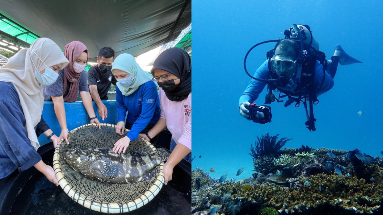 UMS memahami dan melindungi lautan, bakal jadi pusat penyelidikan Sains ...