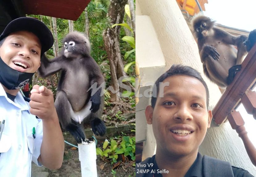 Gelagat Lisa rampas roti, picit hidung buat abang guard ‘famous’! Tak ...