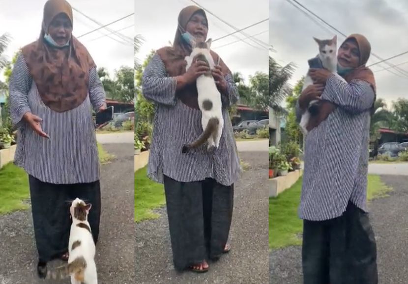 Sebut ‘up’ si bulus terus melompat! Makcik Rokiah kongsi rahsia latih ...