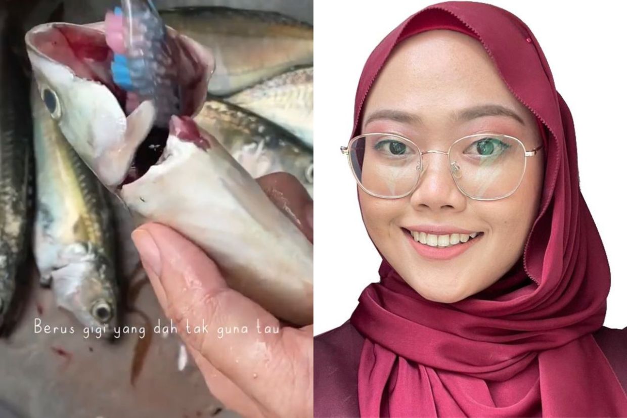 Dianggap pengotor cuci ikan guna berus gigi, gadis ini tak peduli ...