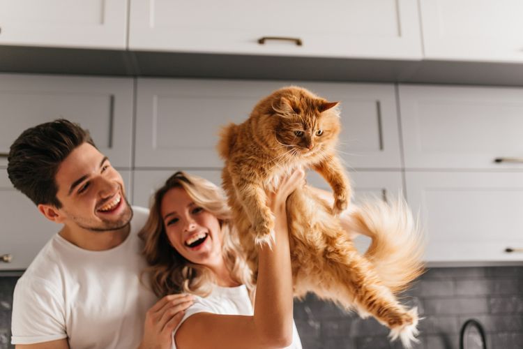 Kucing jantan atau betina? Ada 5 perkara perlu dipertimbangkan sebelum ...