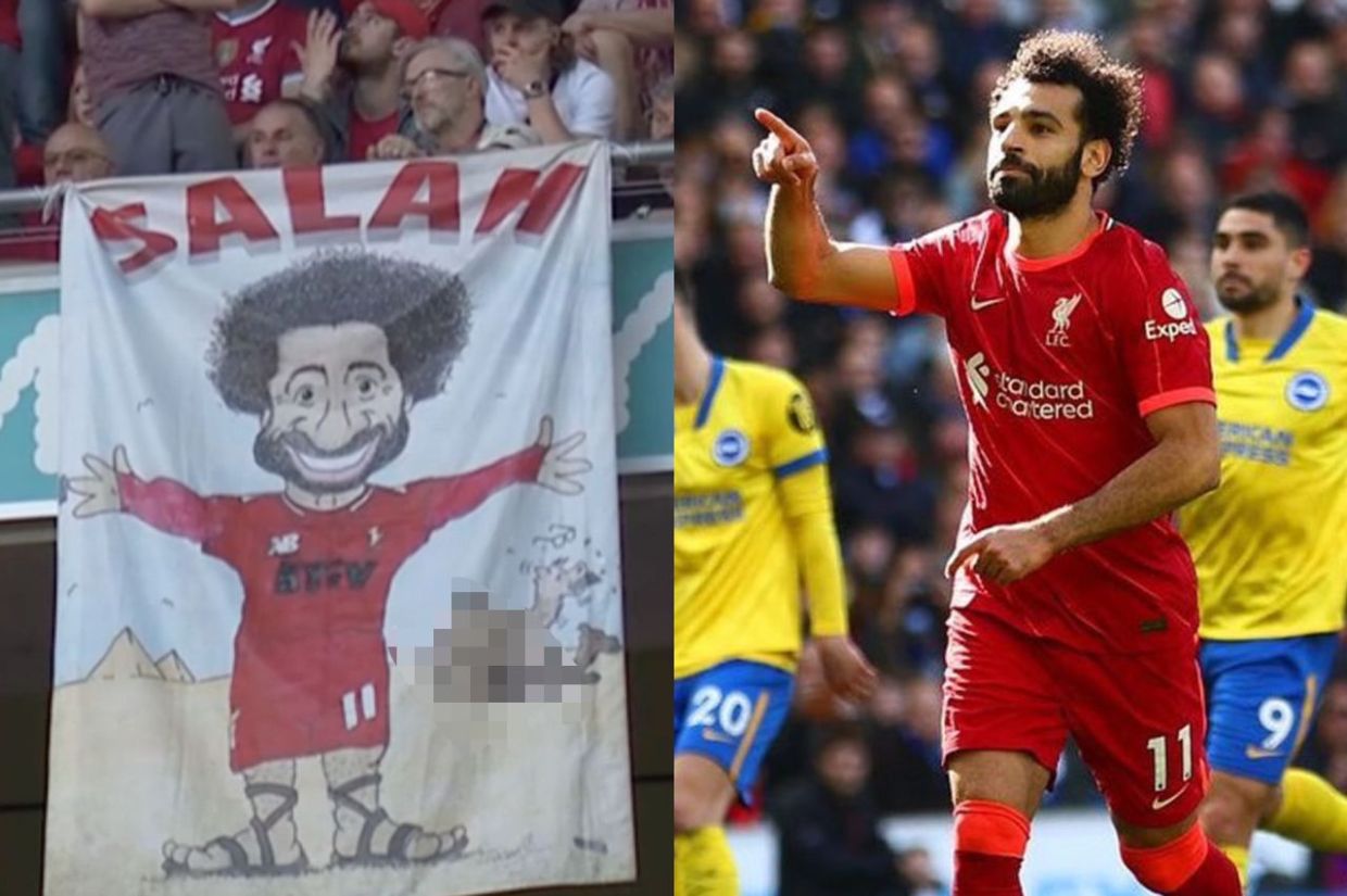 BBC tidak sengaja papar imej tak senonoh unta sedang mengawan pada ...