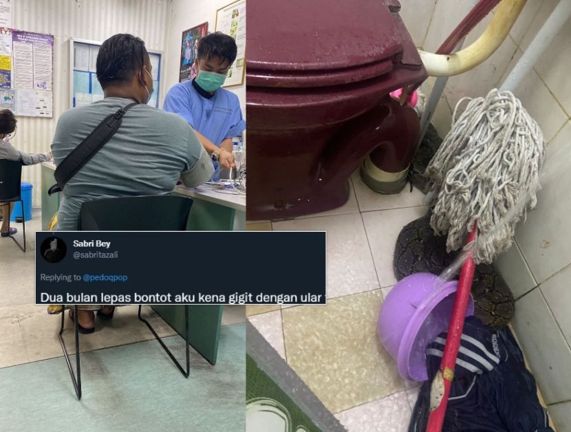 Pemuda cemas terpaksa tarik ular melekat di bontot ketika buang air ...