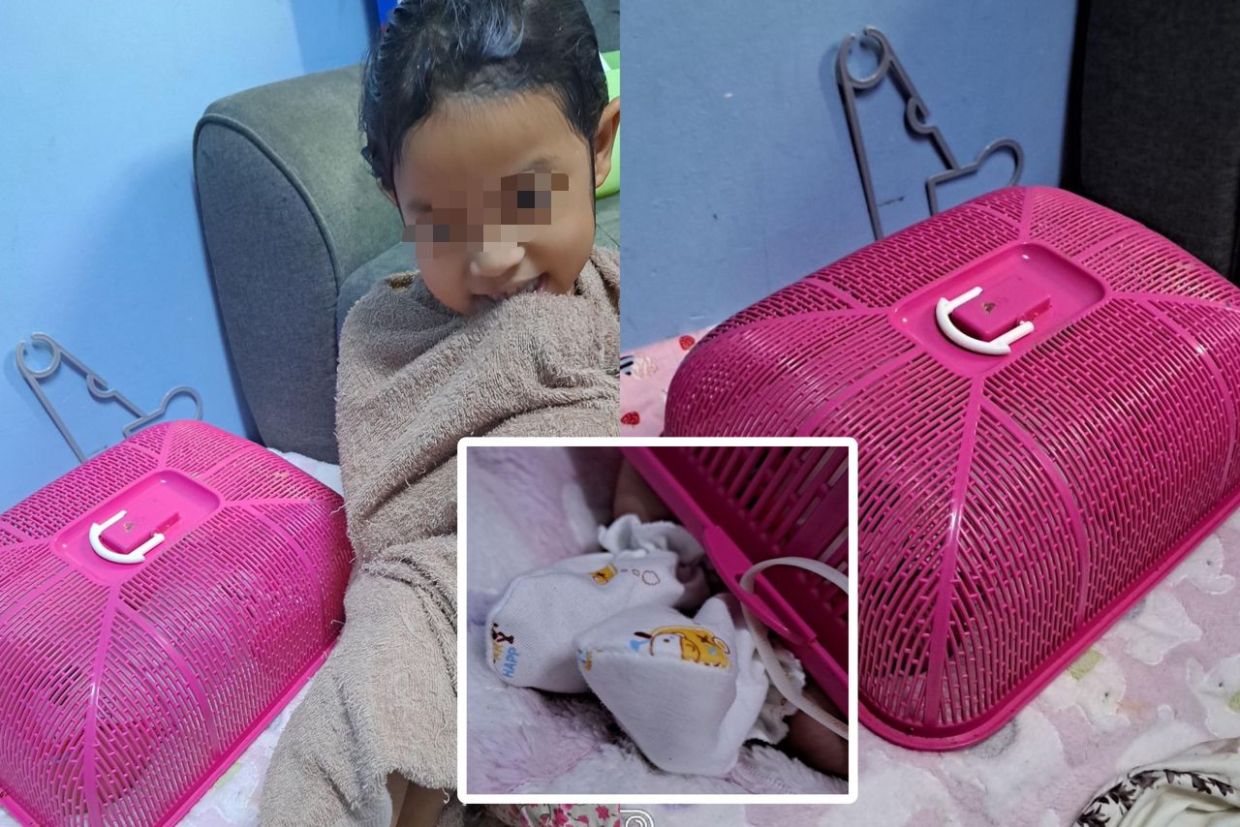 Disuruh jaga adik sedang tidur ternganga, kakak guna tudung saji sebagai pelindung sebab ada ...