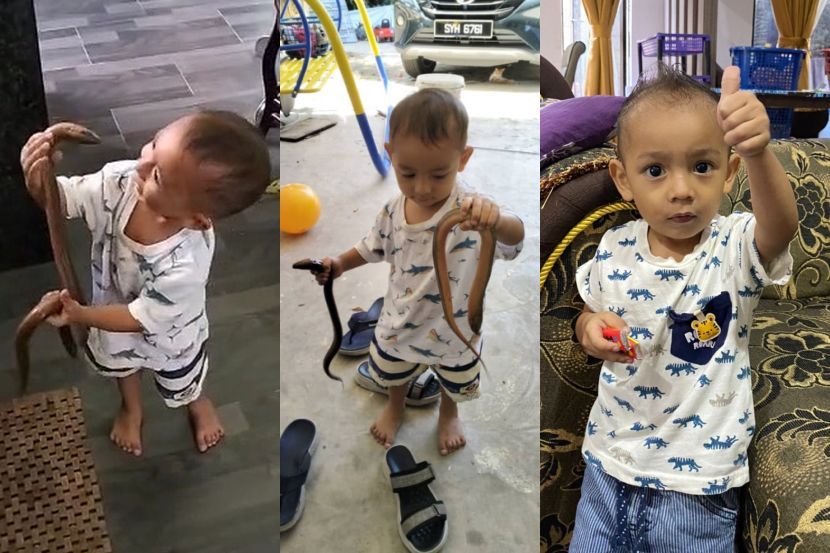 Anak datang bawa ‘hadiah’ belut, ibu di dapur menjerit geli geleman ...