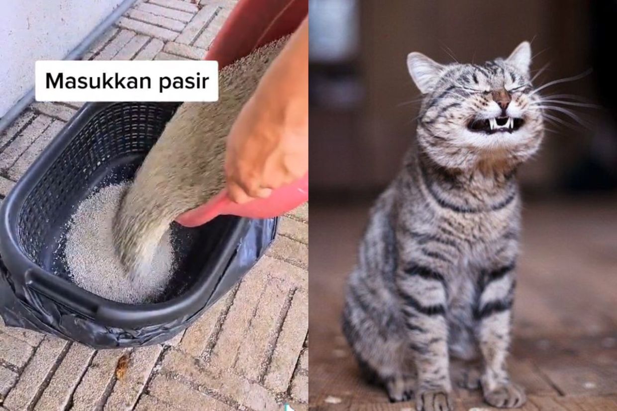 Kotak ‘cat litter’ mahal? Usah bimbang, kita DIY je! Modal tak sampai ...