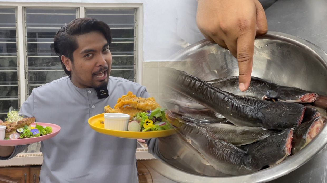 Danial Zaini kena kutuk guna ikan keli, ada kata fish and ‘cheap’... tapi sebenarnya lagi mahal ...