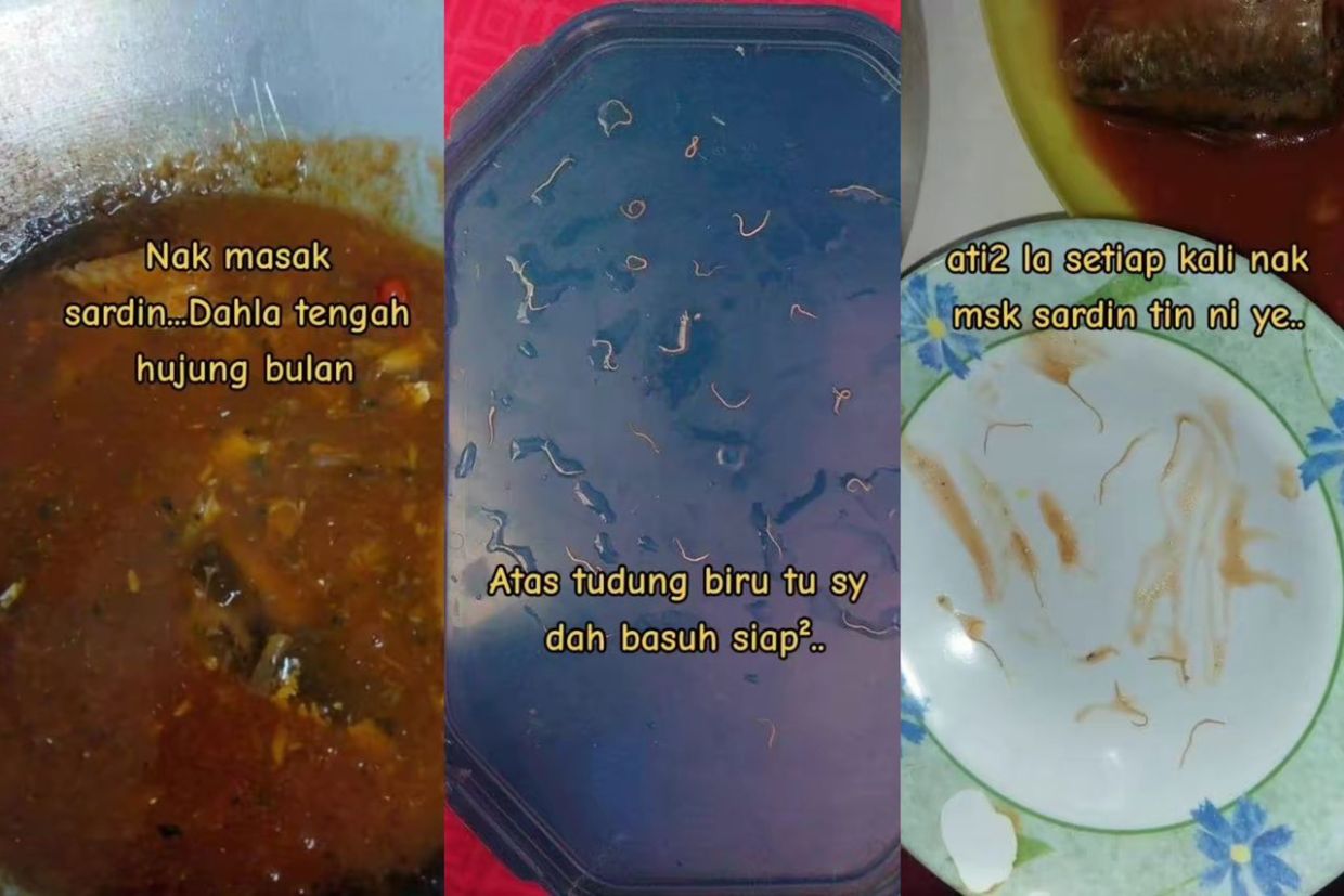 Jumpa cacing dalam sardin, sebab belum gaji ibu terpaksa kutip satu ...