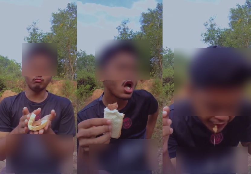 Gen Z ‘lapar’ perhatian, termuntah-muntah makan makanan kucing… Letak ...