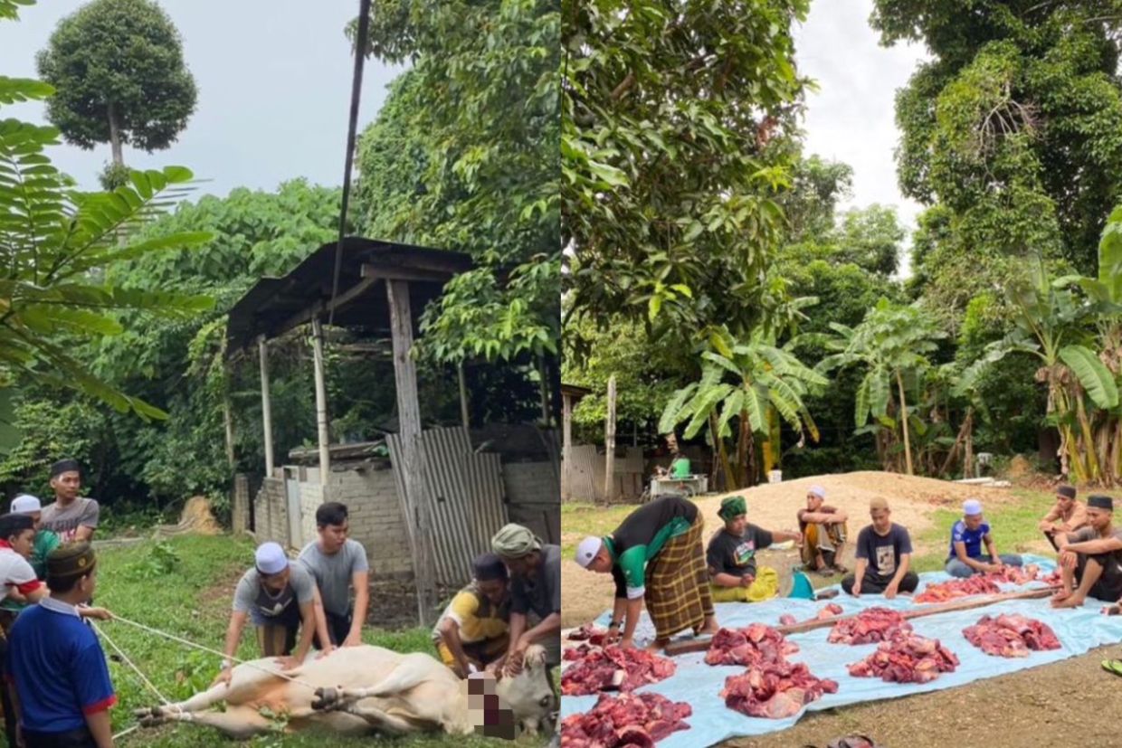 Jangan pandang ringan! Ambil tahu larangan-larangan sebagai pelaku ...