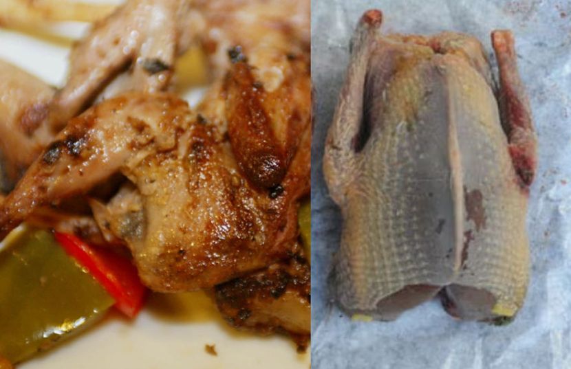 Ramai tak percaya makan burung merpati boleh jadi cantik... Ini khasiat ...