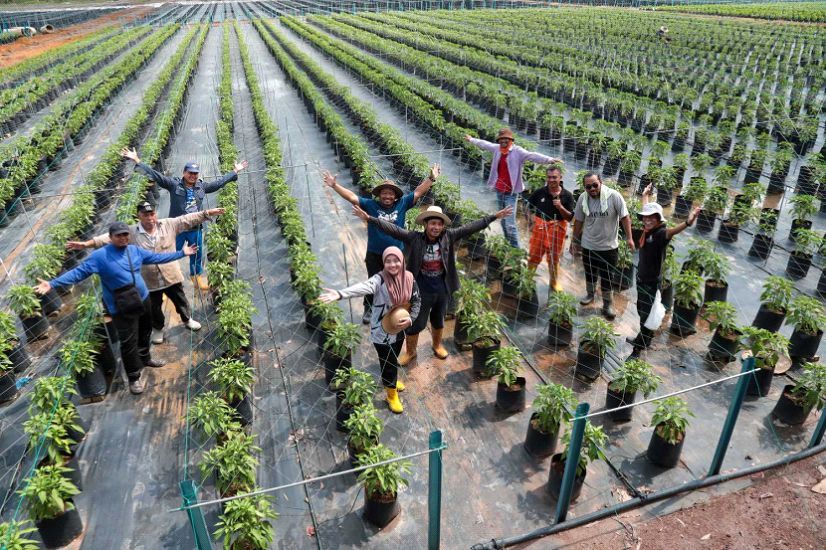 Warga emas sebak kongsi kisah perit selepas bersara, ramai syukur sertai program IPR-Intan ...