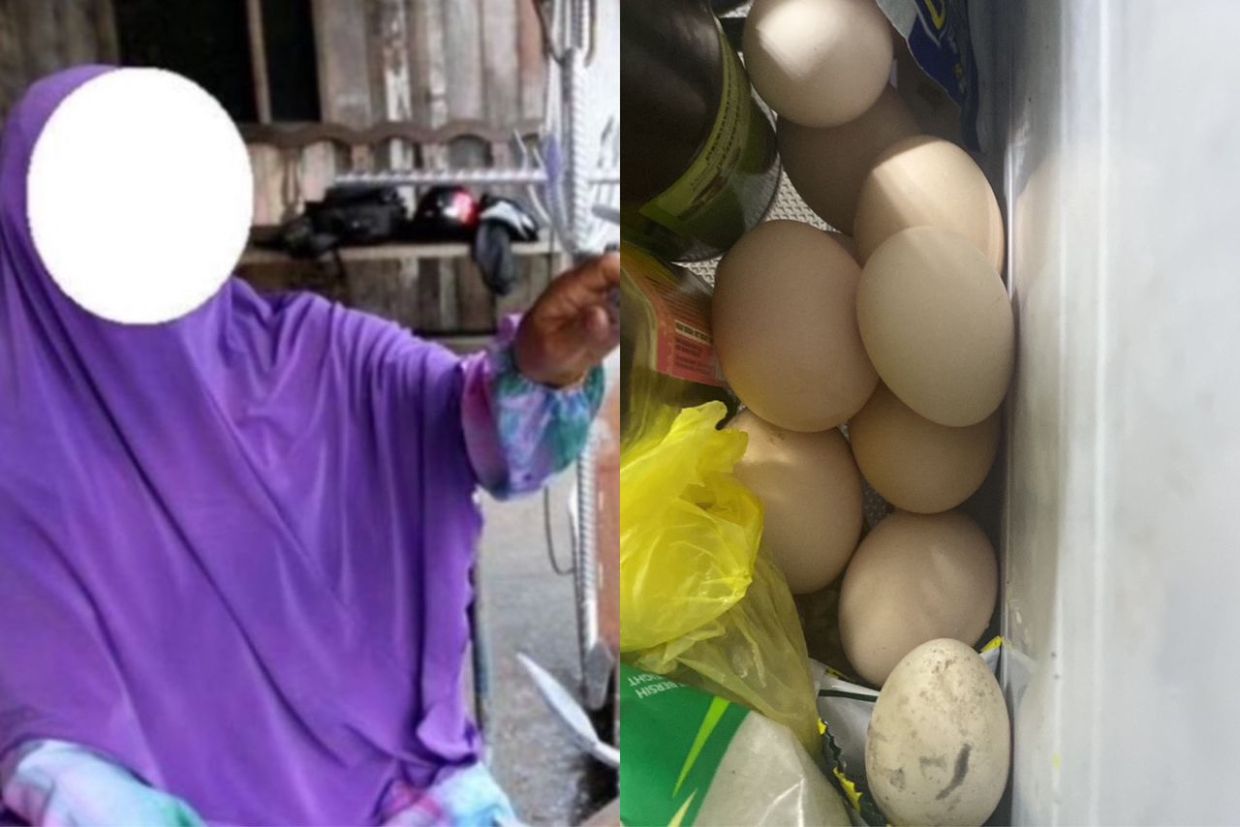 Makcik datang rumah minta sebiji telur ayam, penternak ‘tercabar’ terus ...