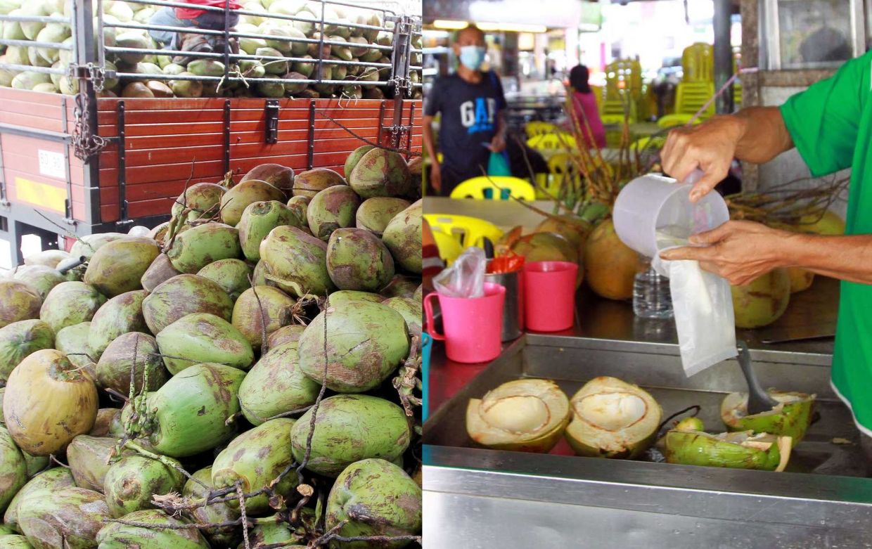 Kehebatan air kelapa bukan biasa-biasa, lebih ramai akan minum jika faham rahsia dan khasiatnya ...