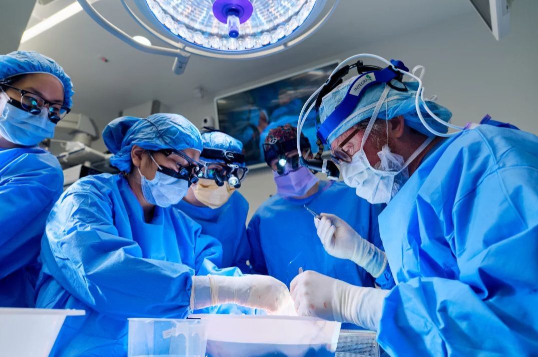 Wanita sanggup terima organ babi, teruja mahu hidup sihat selepas ...