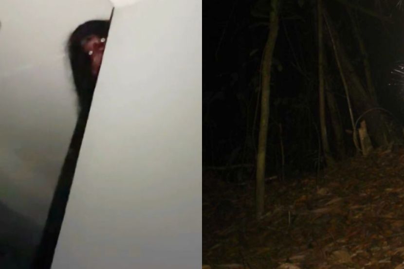 Anak ketagih makan telur, suami ada 'kembar' petanda gangguan hantu ...